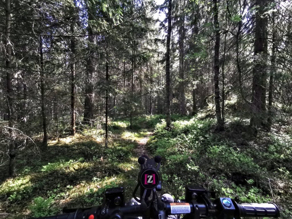 Zoom Life - Zoomability | 4 Wheel Drive Joy For Everyone